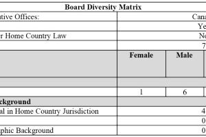 Board of Directors-Visionary Holdings Inc.